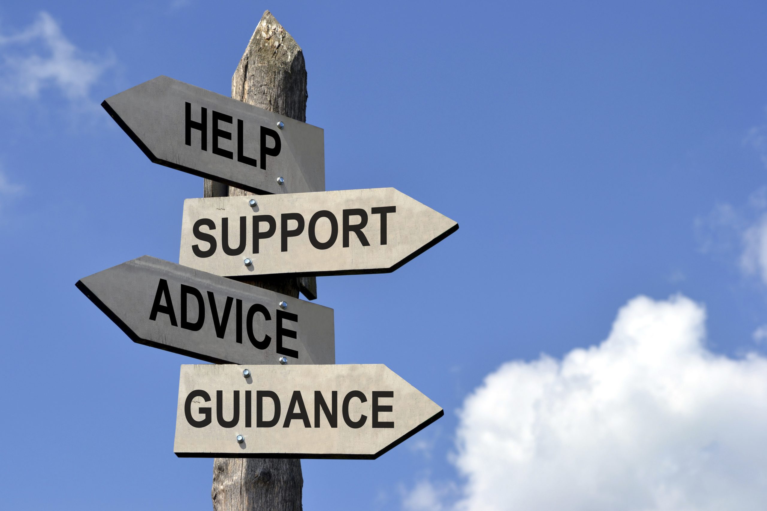 COVID 19 Updated Summary Of Government Support Available To Small